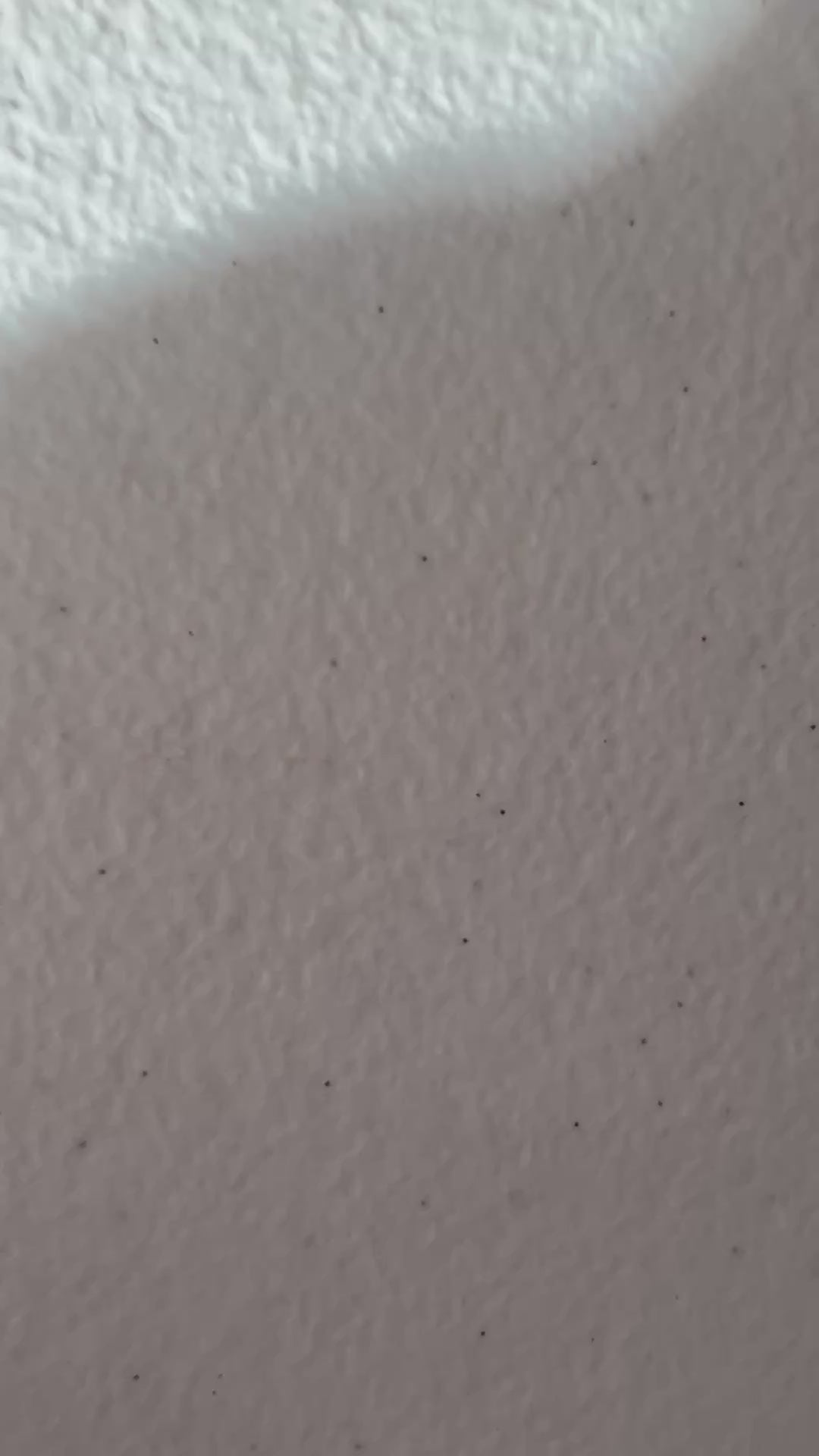 Custom School Spirit name and number – Unhinged & Unmasked, LLC